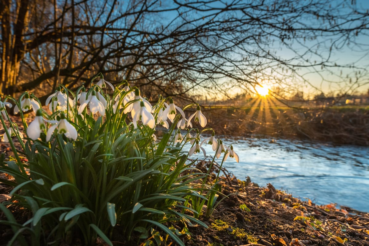 Your Ultimate Guide to the Spring Equinox